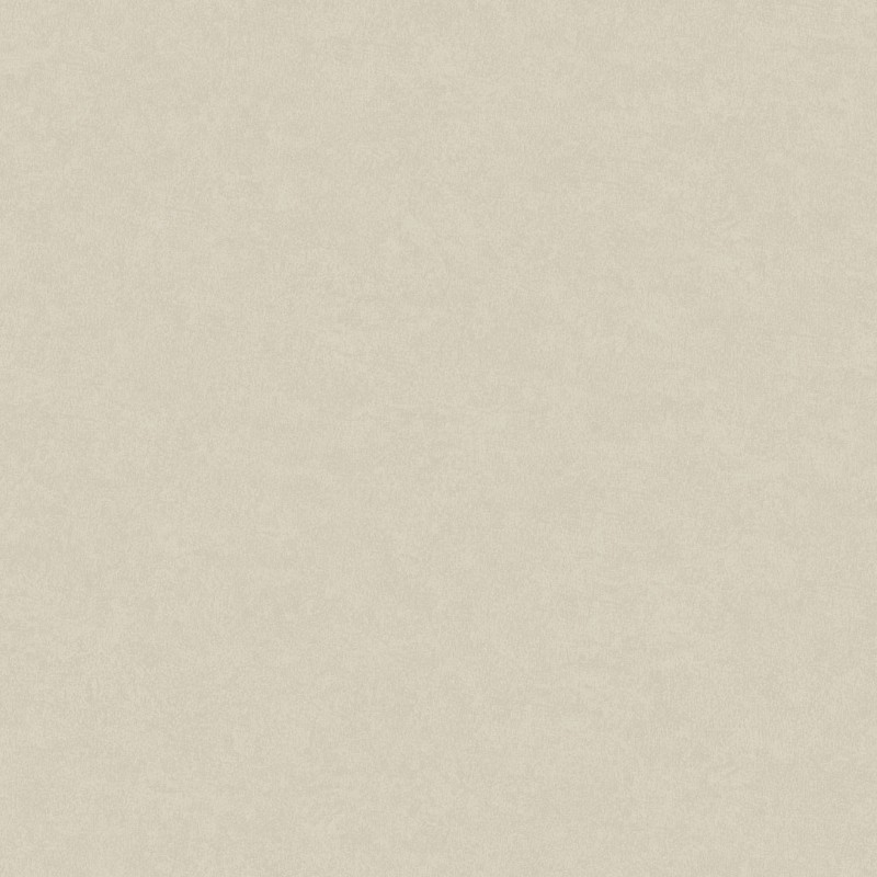 Borosan EasyUp 14 - 37750 fra Boråstapeter | Familietapeter