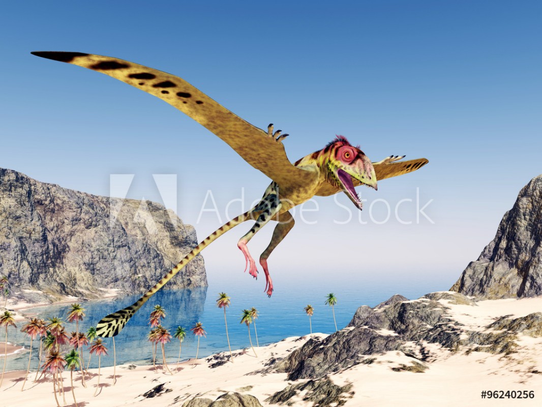 Pterosaur Peteinosaurus from Wallmural | Wallpassion
