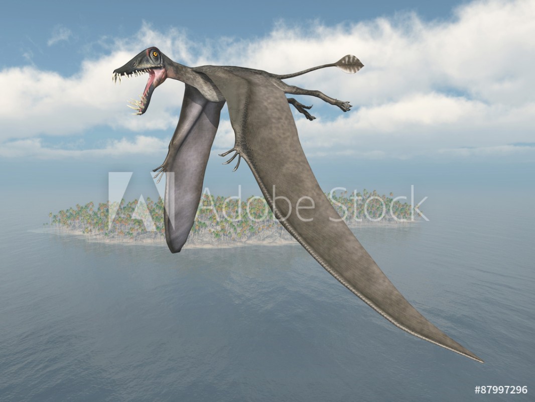 Fotobehang Pterosaur Dorygnathus van Scandiwall | Wallpassion