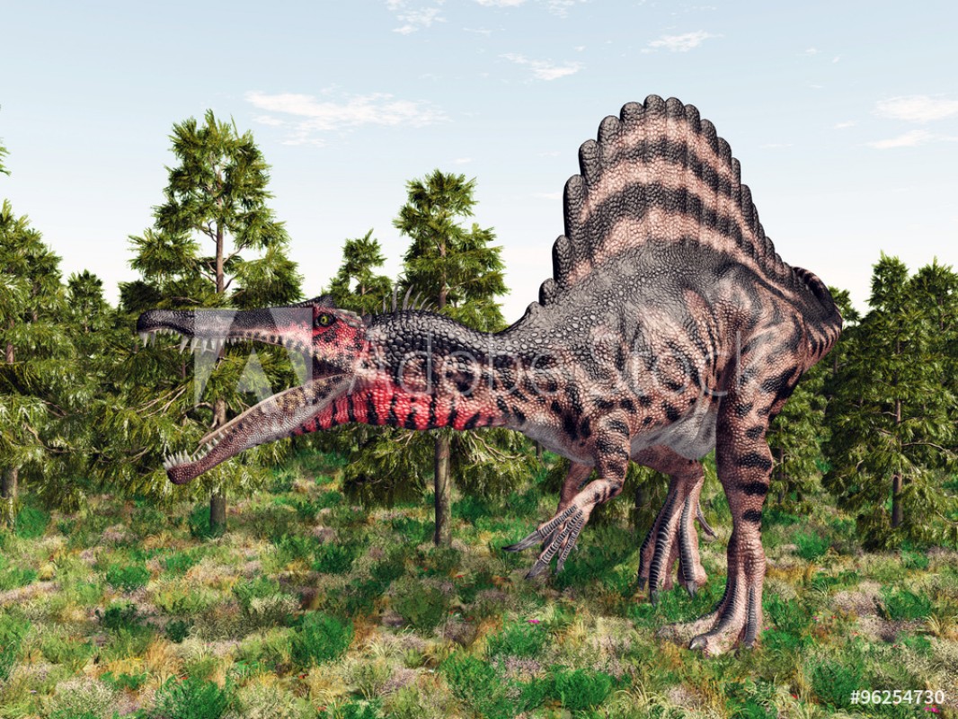 Dinosaur Spinosaurus fra Fototapet | Familietapeter