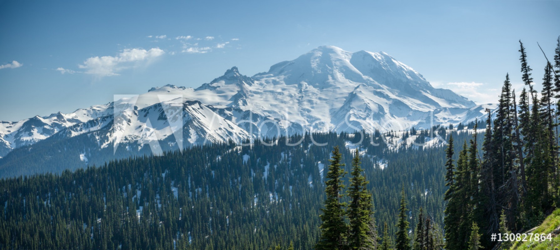 Mount Rainier Natl Park Sunrise Point WA USA from Wallmural ...