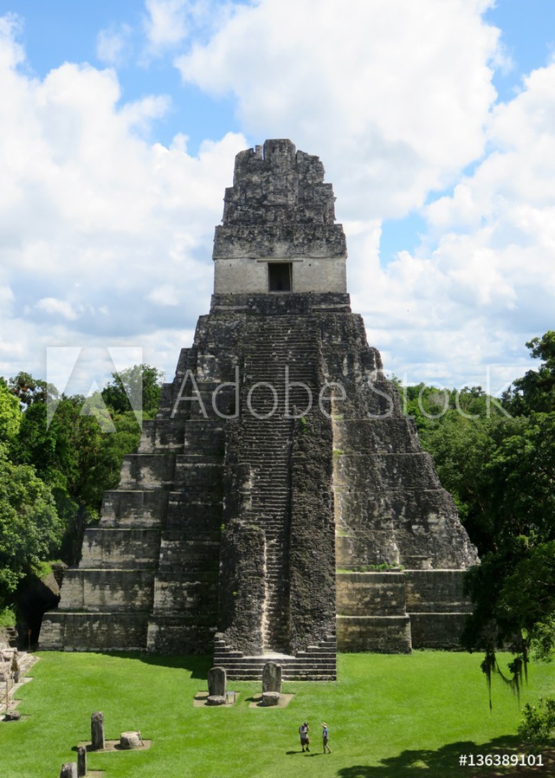 Tikal Pyramid 1 from Wallmural | Wallpassion
