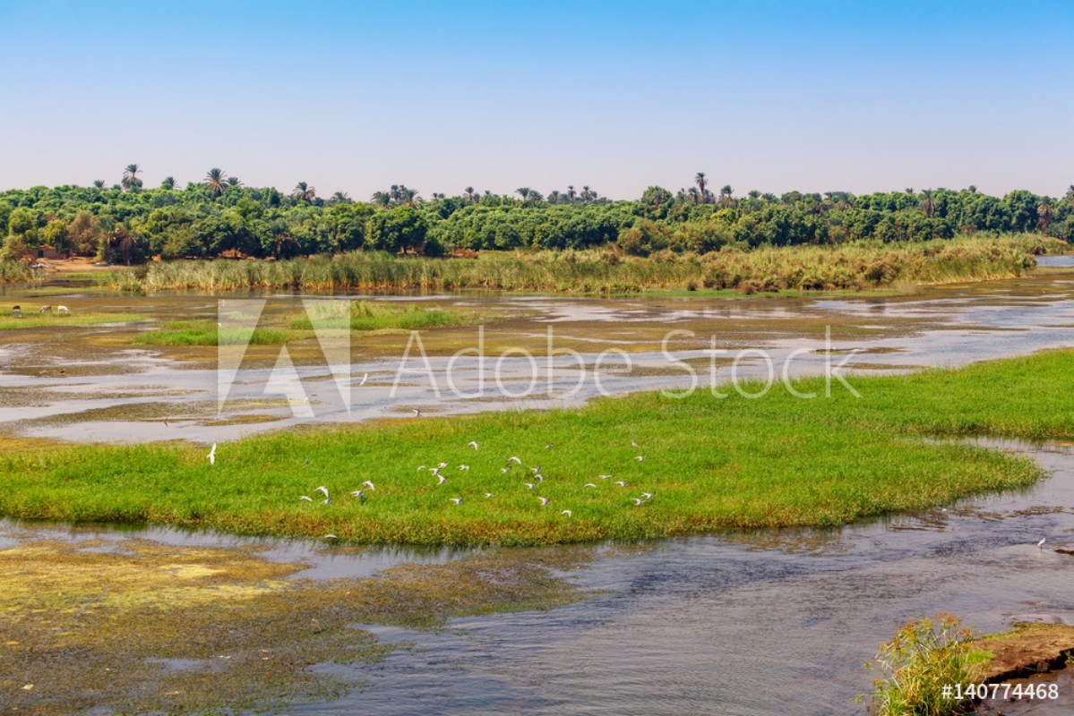Nile river Egyptian Nile from Wallmural | Wallpassion