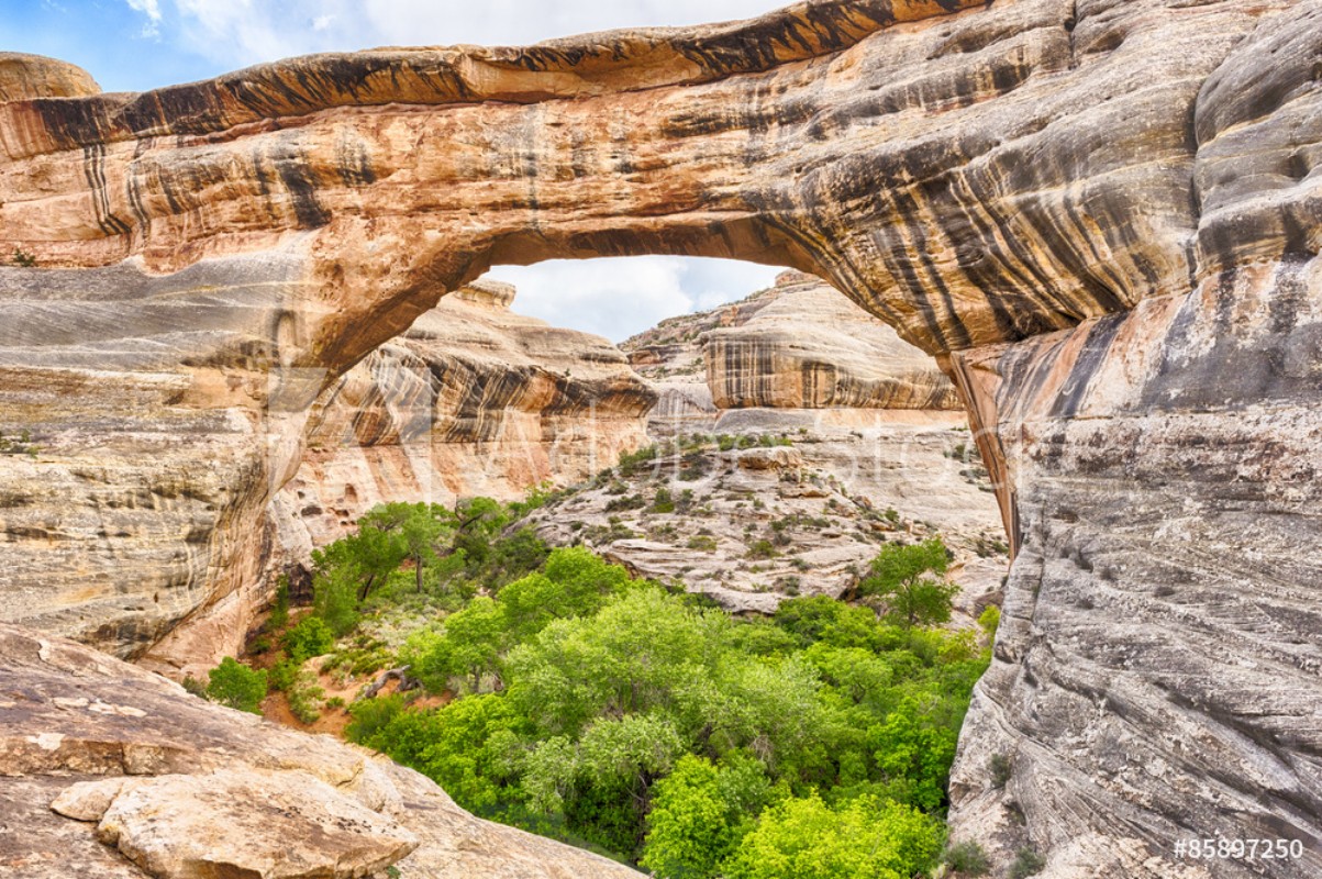 Wall mural Sipapu Bridge from Scandiwall | Wallpassion