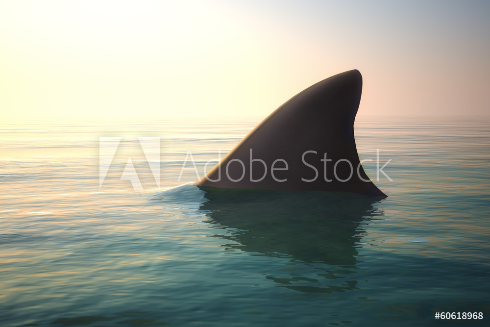 Shark fin above ocean water from Wallmural | Familywallpapers