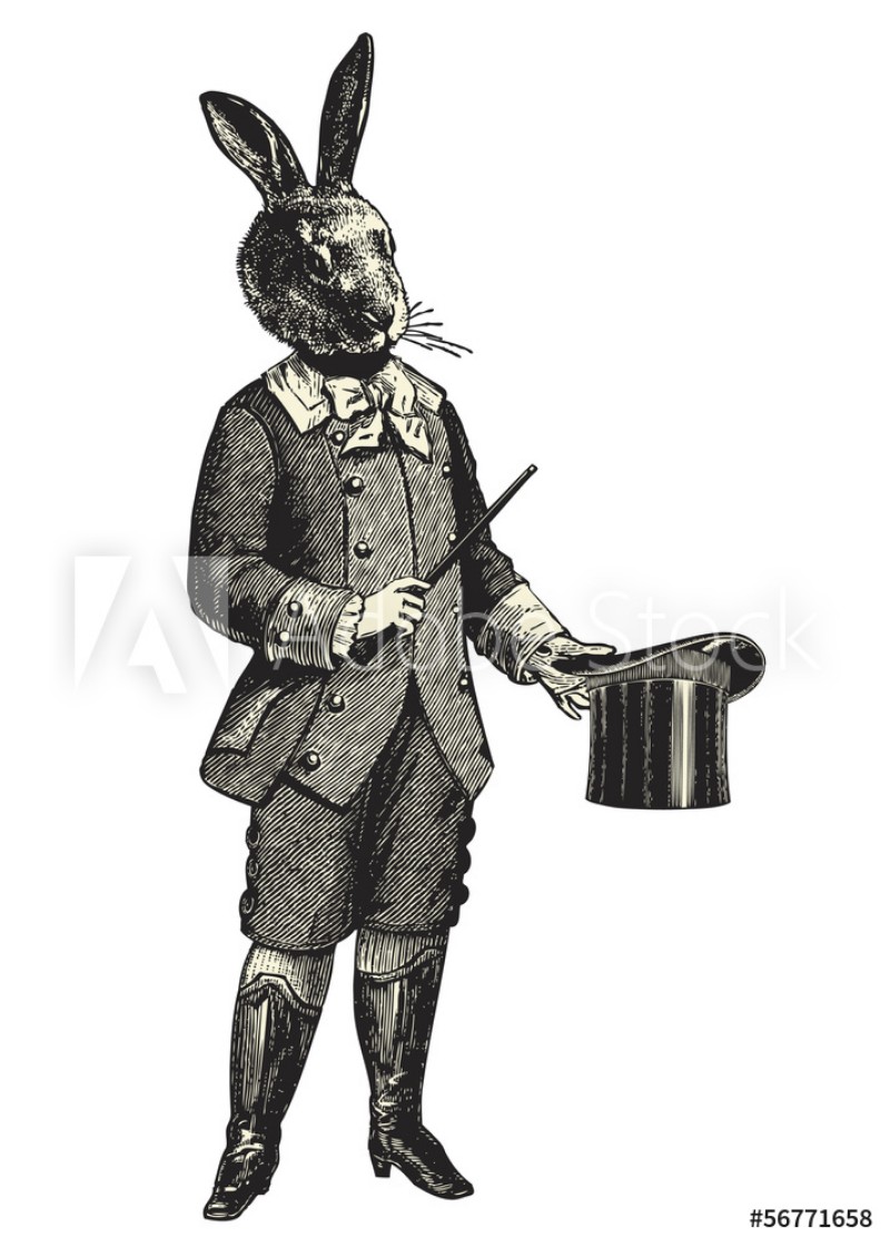 Papier peint photo Magic rabbit de Scandiwall | Wallpassion