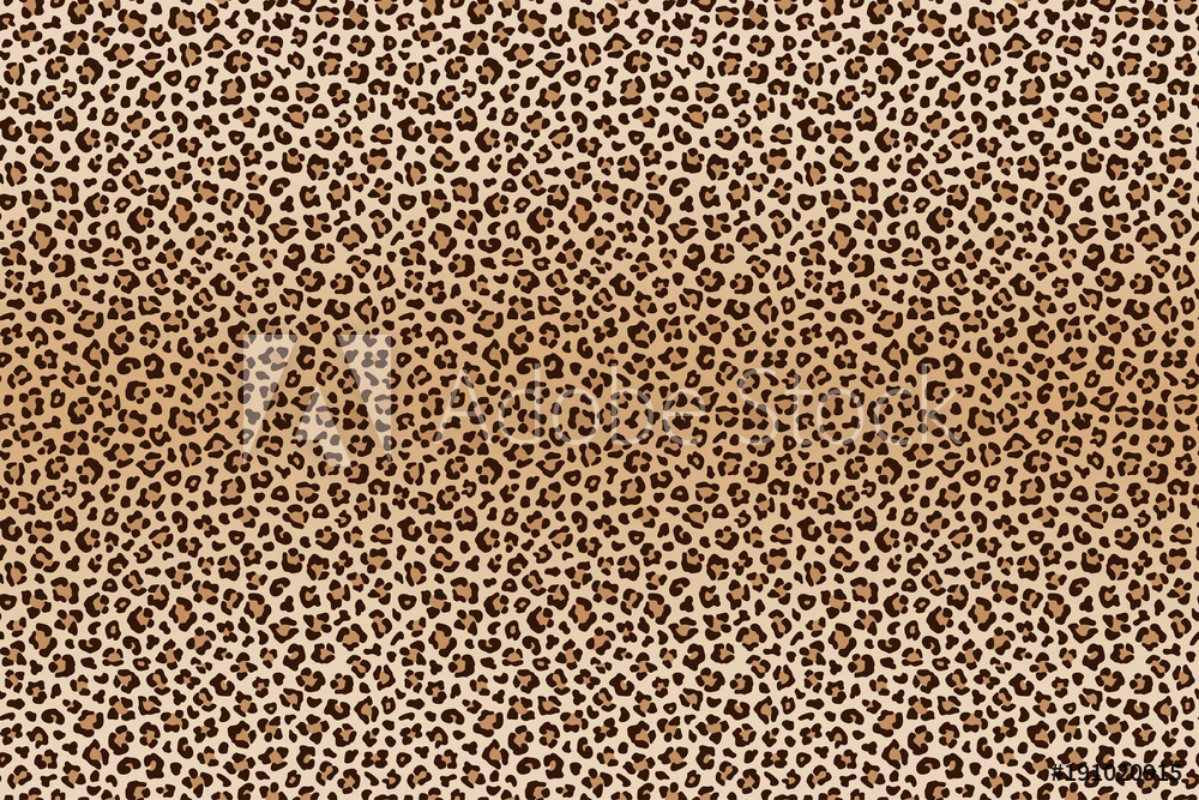 Background animal leopard texture Vector fra Fototapet | Familietapeter