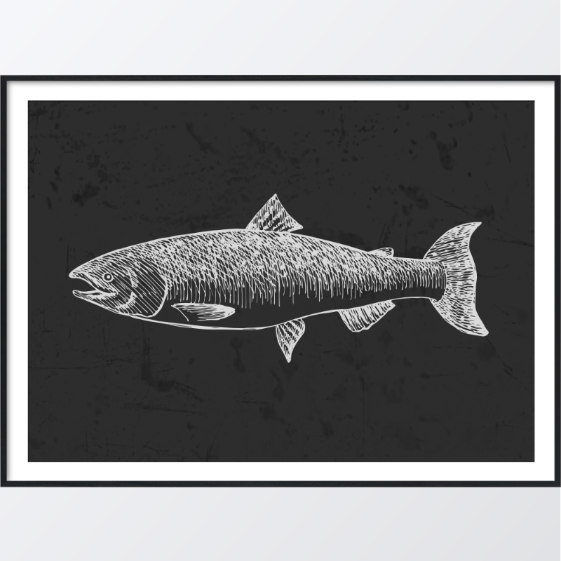 Hand-drawn salmon poster från | Familjetapeter