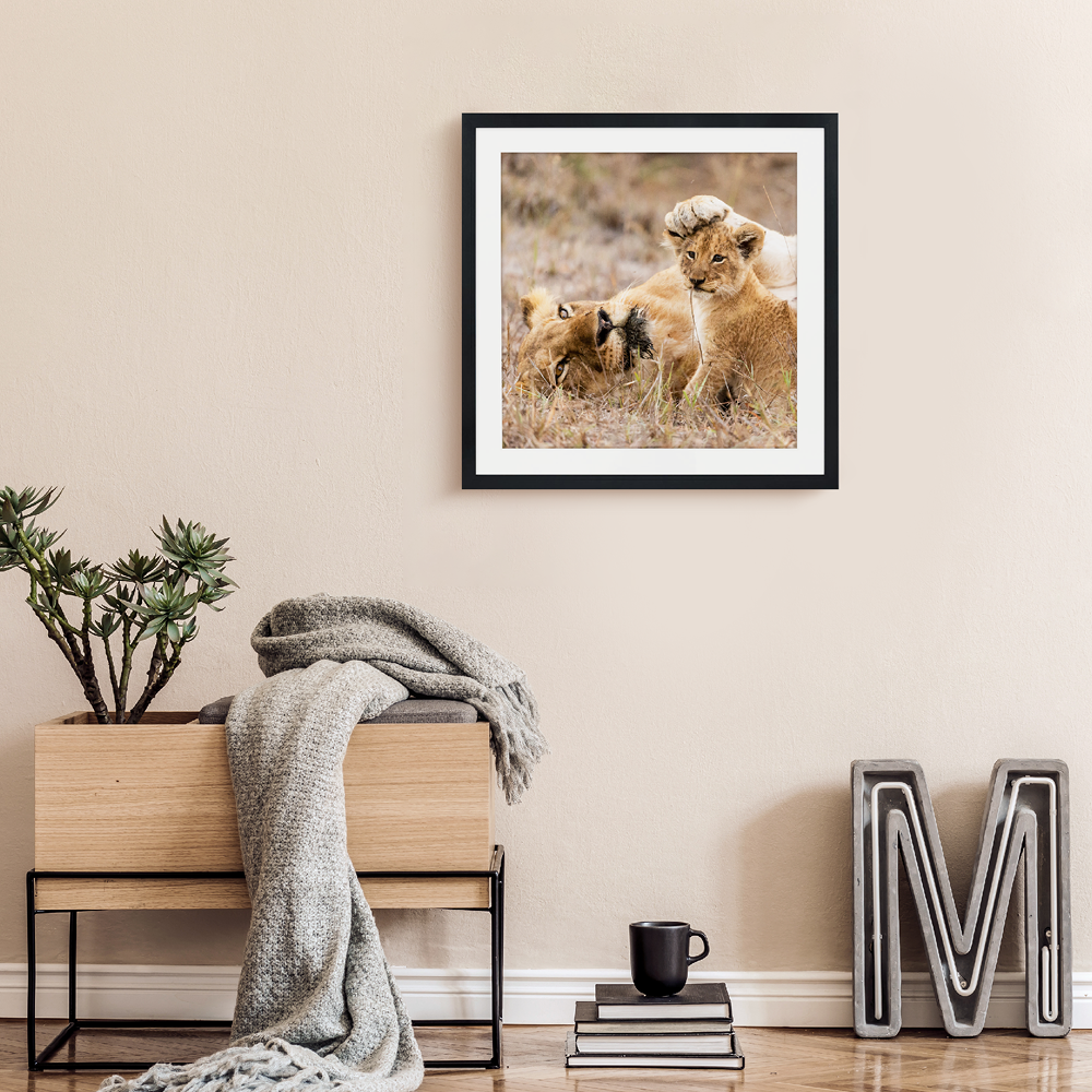 Pat the lion cub plakat fra | Familietapeter