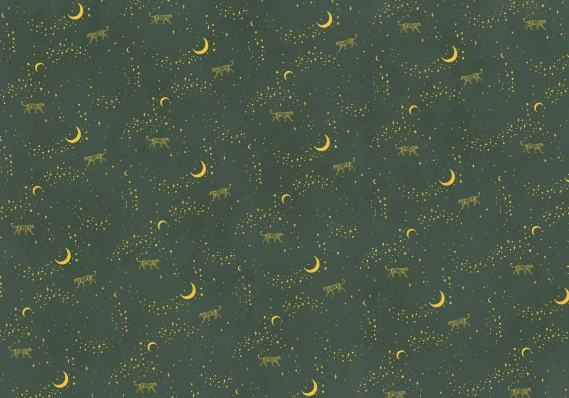Stargazer Wallpaper Mural 4mx2.80 - MUR-Stargazer-Basic-4*2.80 fra ...